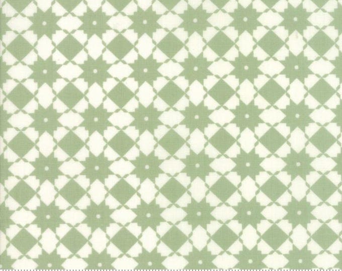 1 Yard X 44" Moda Garden Variety by Lella Boutique Pattern # 5072-11 ...