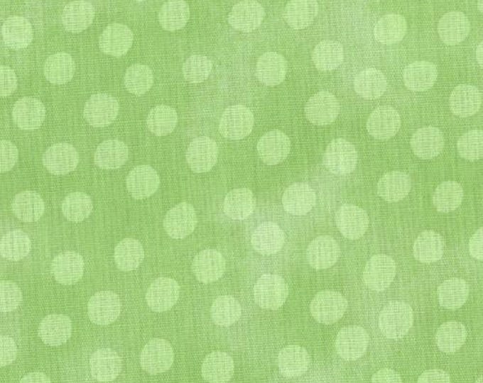 Moda Fabric 1 Yard X 44 Moda New Hope by Jo Morton Pattern 38032-16 ...