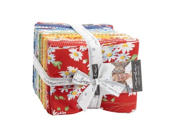 Moda Storytime - Etsy