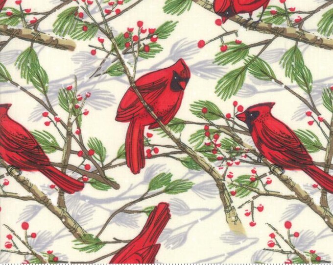 Moda Fabric---1 Yard X 44" Moda Splendid by Robin Pickens Pattern ...