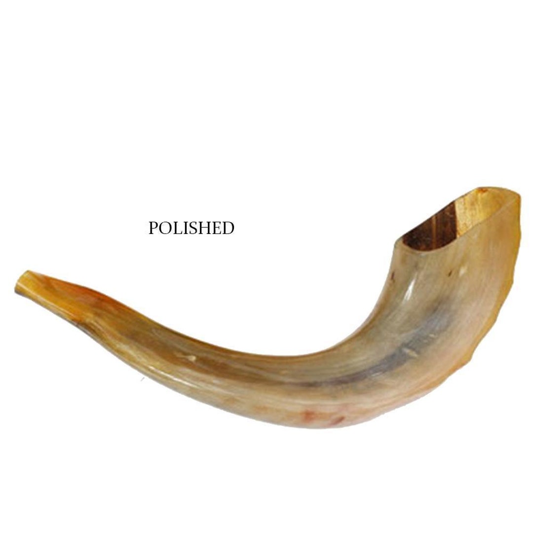 Natural Kosher Jewish Polished Shofar Ram Horn 13 - 15"(30-34 Cm ...