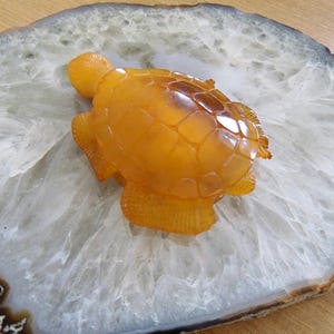 Amber Carved, Amber Carvid, Turtle, Amber, Sculpture, Figurines, Unique ...