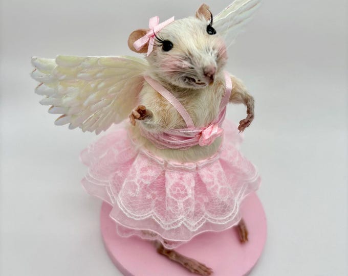 Pink Princess Rat Taxidermy: Fairy Angel Oddities Decor - Etsy