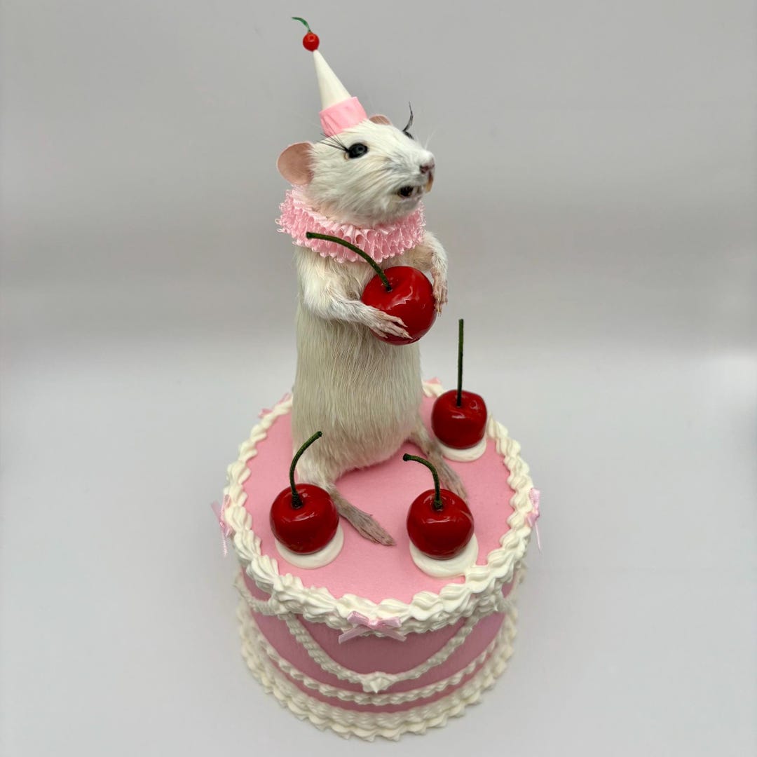 Faux Cake Taxidermy Rat Art | Whimsical Oddities Cute Goth Curio Decor ...