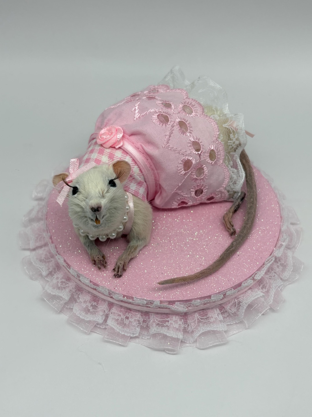 Rat Taxidermy Pink Princess | Whimsical Fun OOAK Oddities Preserved ...