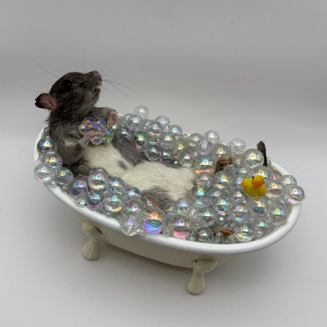 Bubble Bath Tub Taxidermy Rat Whimsical Oddities Cute Goth Curio Decor ...