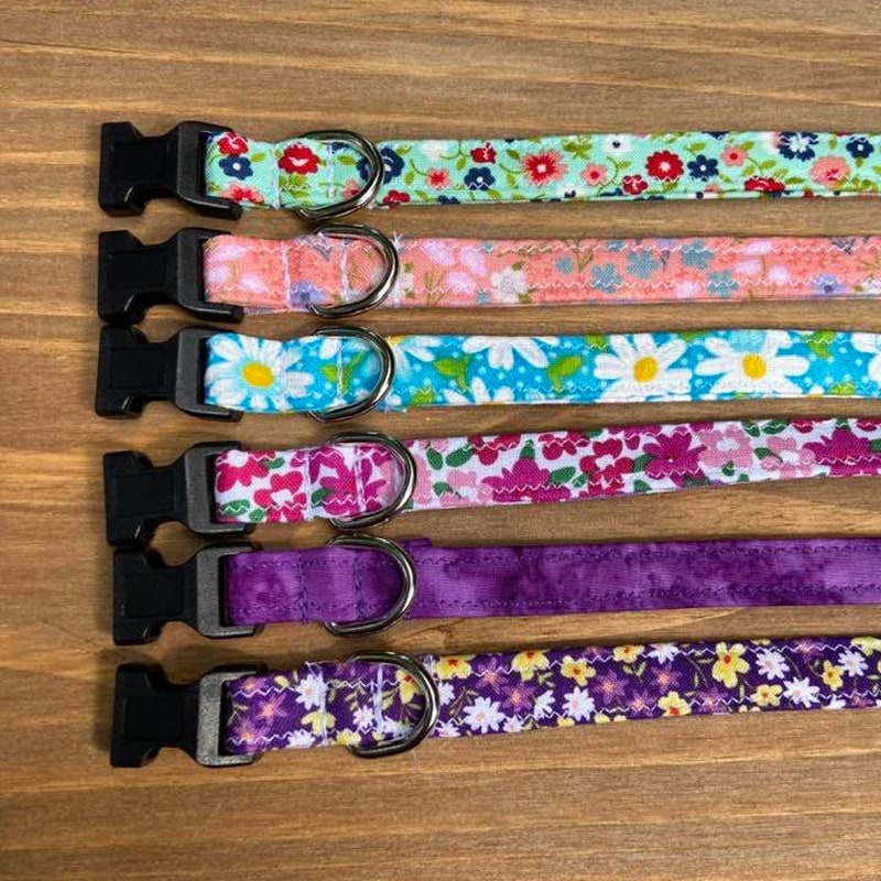 Small Dog Collar - Etsy