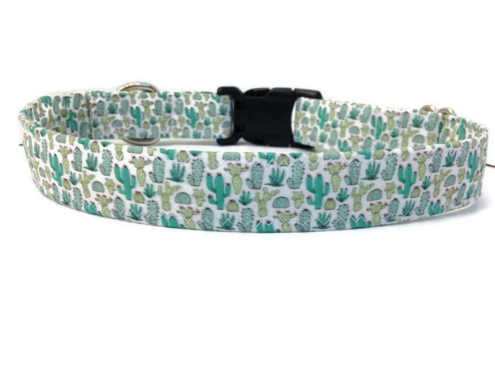 Cactus Dog Collar Martingale Dog Collar Dog Collar Cacti - Etsy