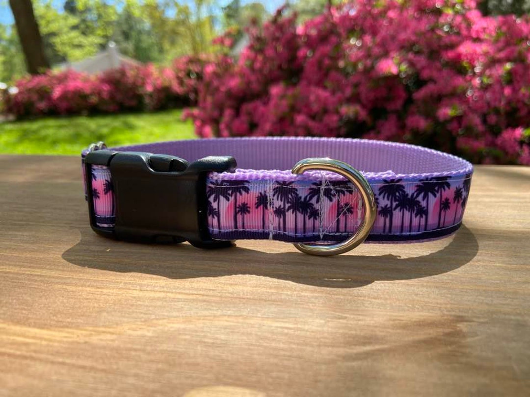 Ocean Sunset Theme Dog Collar - Customizable Beach Pet Gear - Etsy