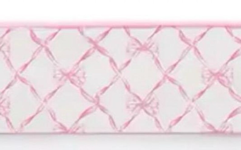 Love Shack Fancy Inspired Clear Bottom Makeup Bag, Pencil Case School ...
