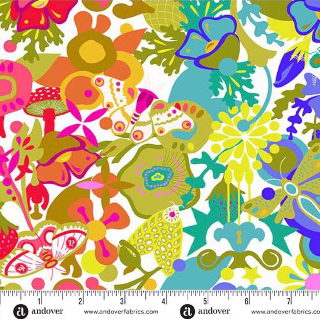 Color Wheel- by Alison Glass- Art Theory Whole Cloth A1441-L Day - Etsy