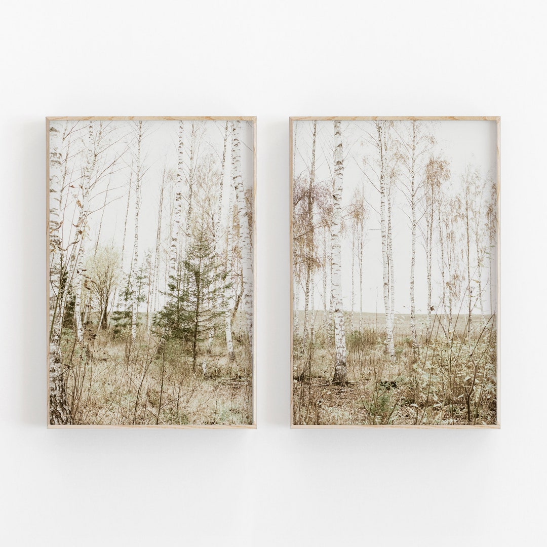 Set of 2 Birch Tree Art Print Set of 2, Nature Photography, Forest Art ...