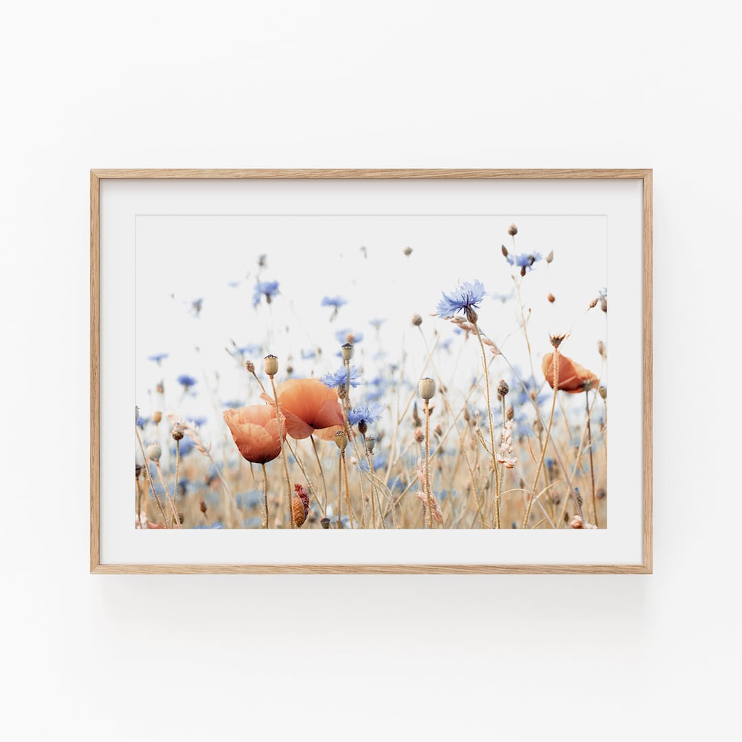 Poppy Print, Instant Art, Poppy Art Print, Modern Minimalist Poster ...
