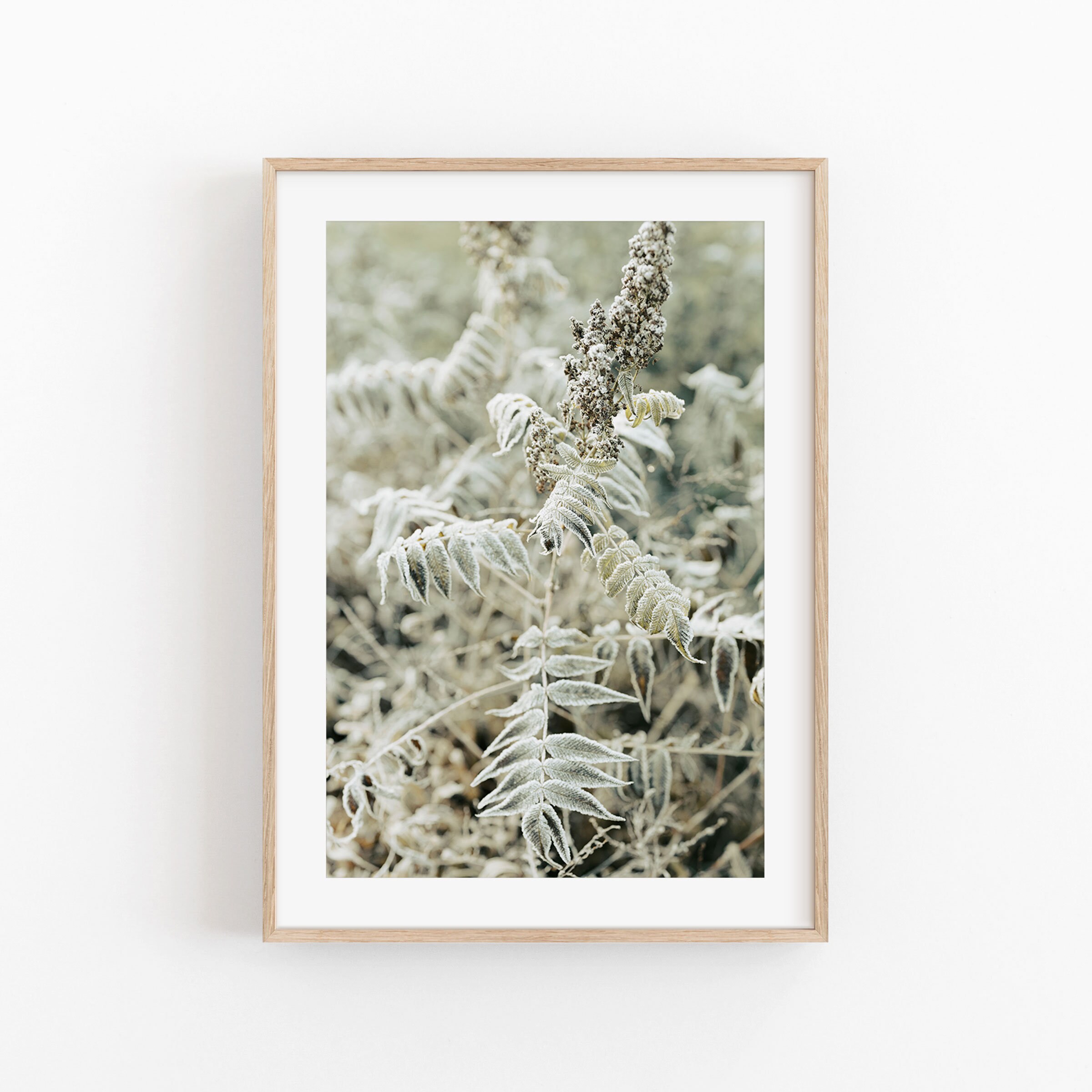 Botanical Print Set of 6 Nature Wall Decor Plant Photography - Etsy