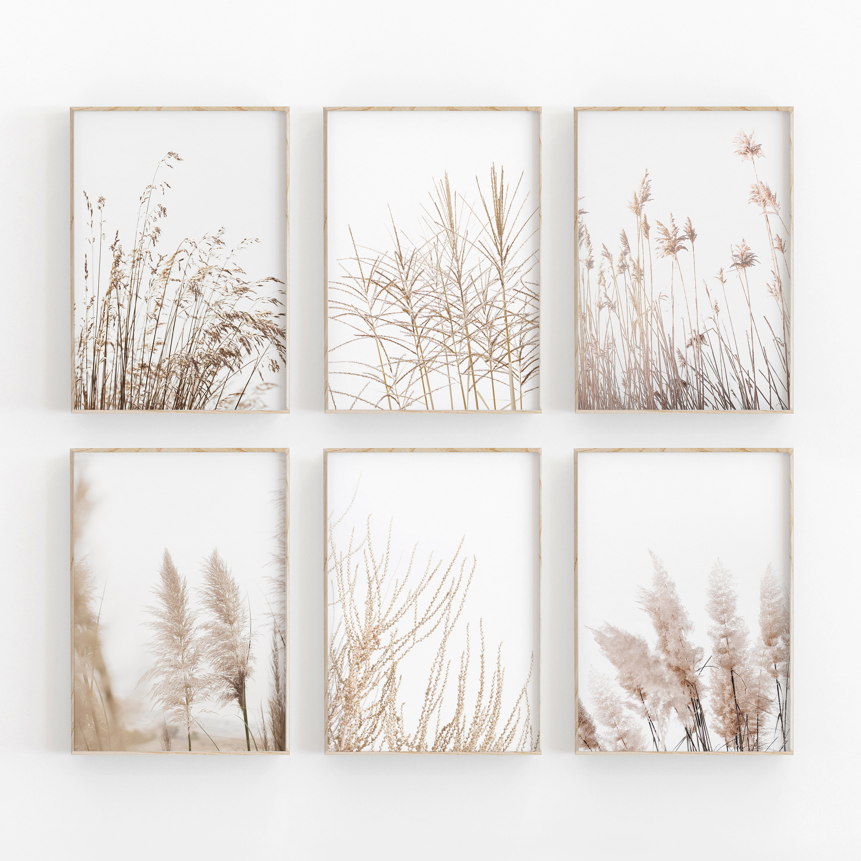 Pampas Grass Set of 6 Nature Wall Art Decor Plant - Etsy