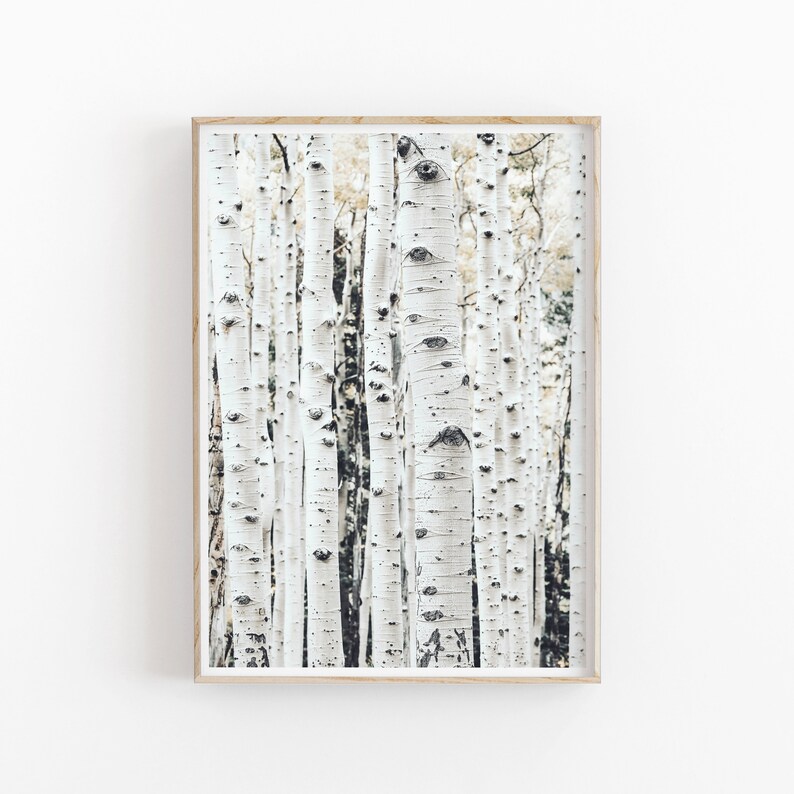 Birch Print Instant Art INSTANT DOWNLOAD Modern Minimalist | Etsy