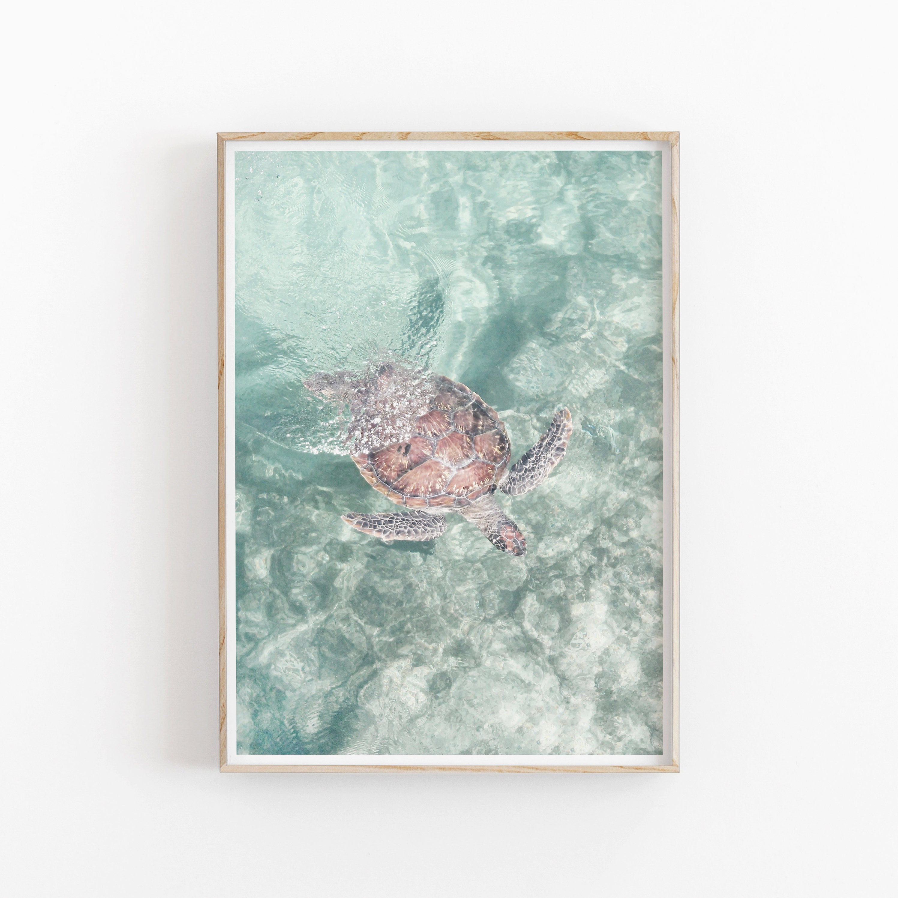 Sea Turtle Art Print Instant Art Water Turtle Modern | Etsy