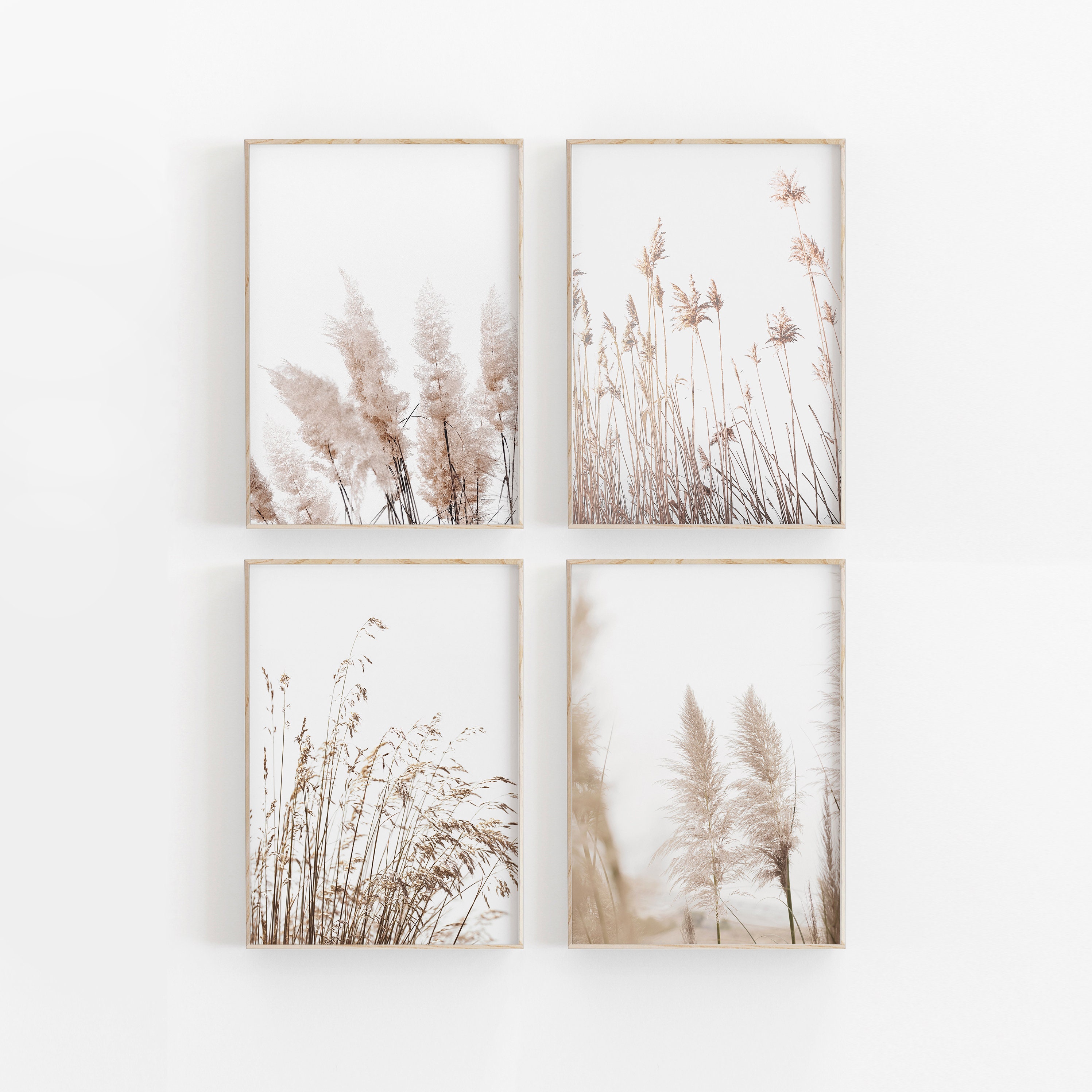 Botanical Print Set of 4 Instant Art Pampas Plant Grass | Etsy
