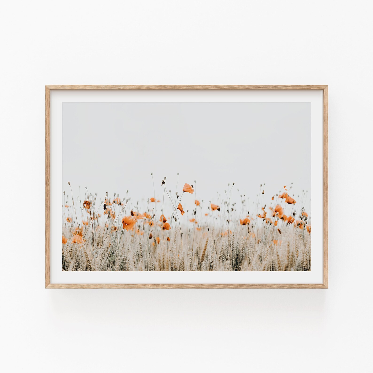 Poppy Print Instant Art Poppy Art Print Modern Minimalist - Etsy