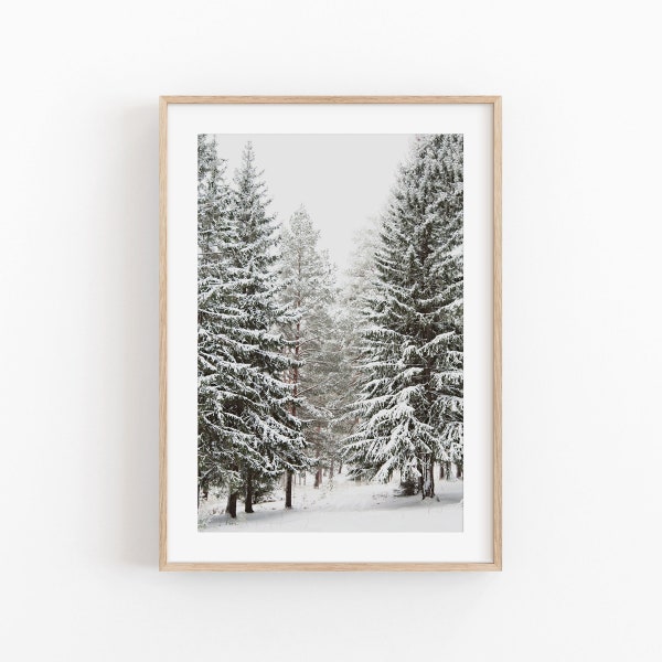 Winter Tree Print - Etsy