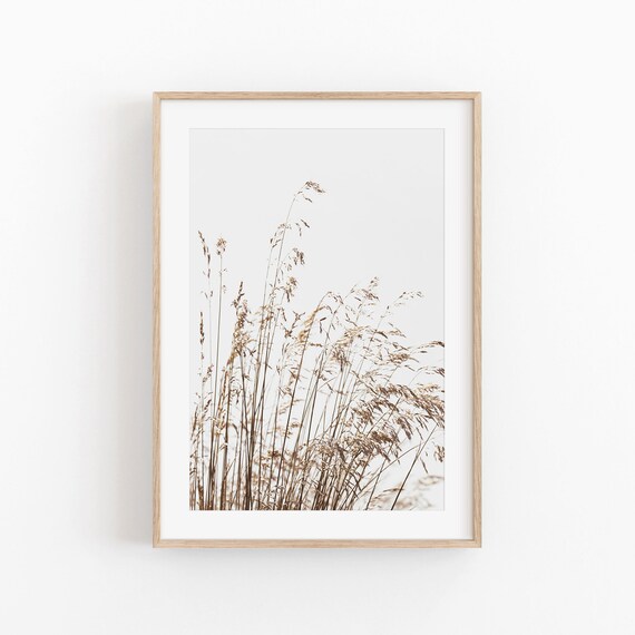 Pampas Grass Print Farmhouse Print Farm House Decor - Etsy
