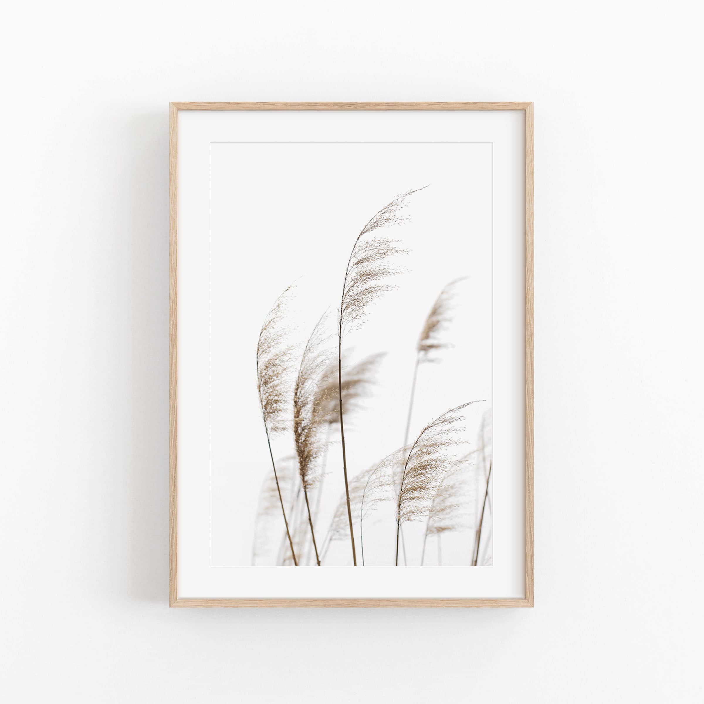 Pampas Grass Print Farmhouse Print Farm House Decor | Etsy