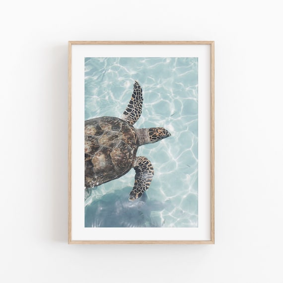 Printable Sea Turtle Art Sea Turtle Wall Art Christian Beach Ocean