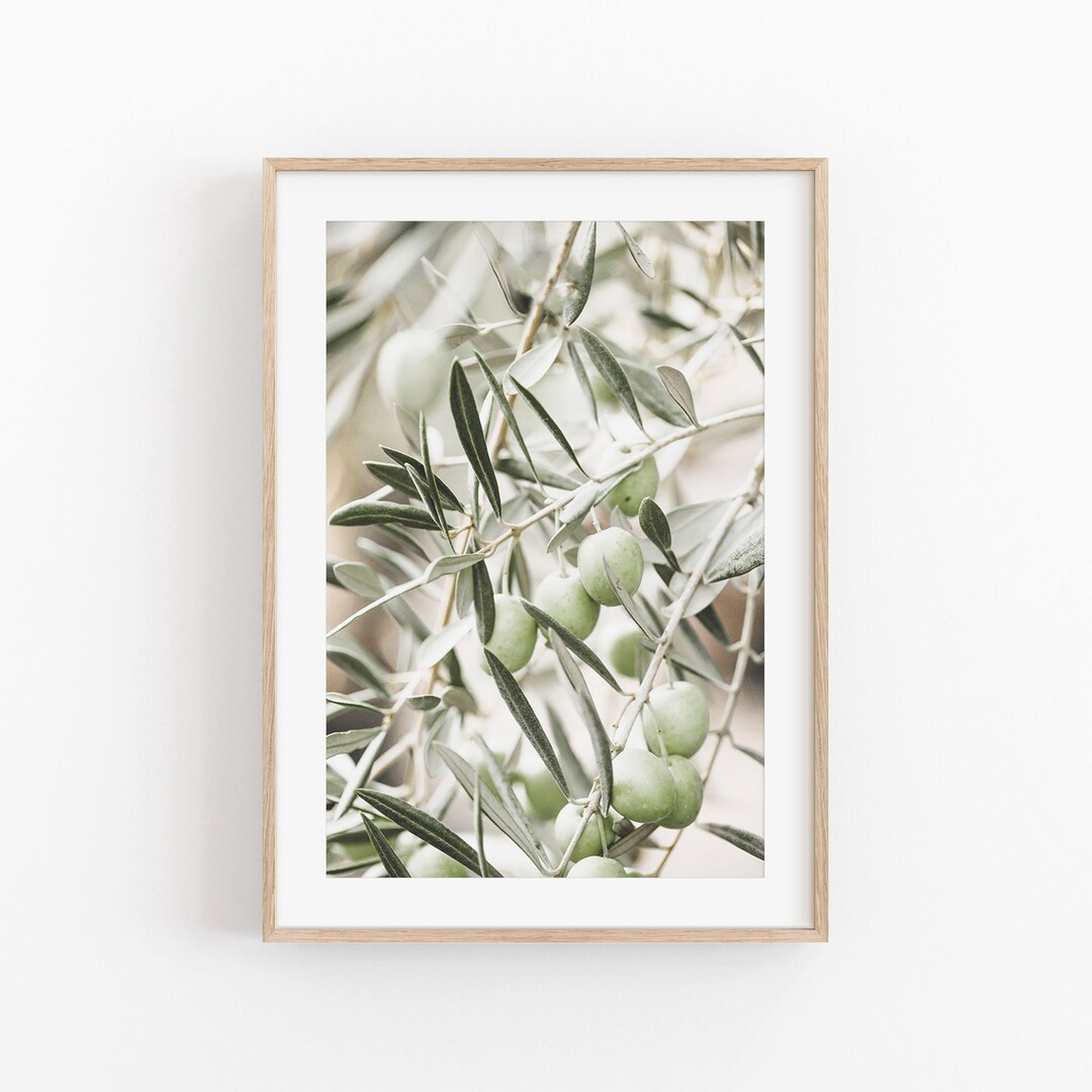 Olive Print, Botanical Print, Instant Art, Olive Tree, Plant Poster ...