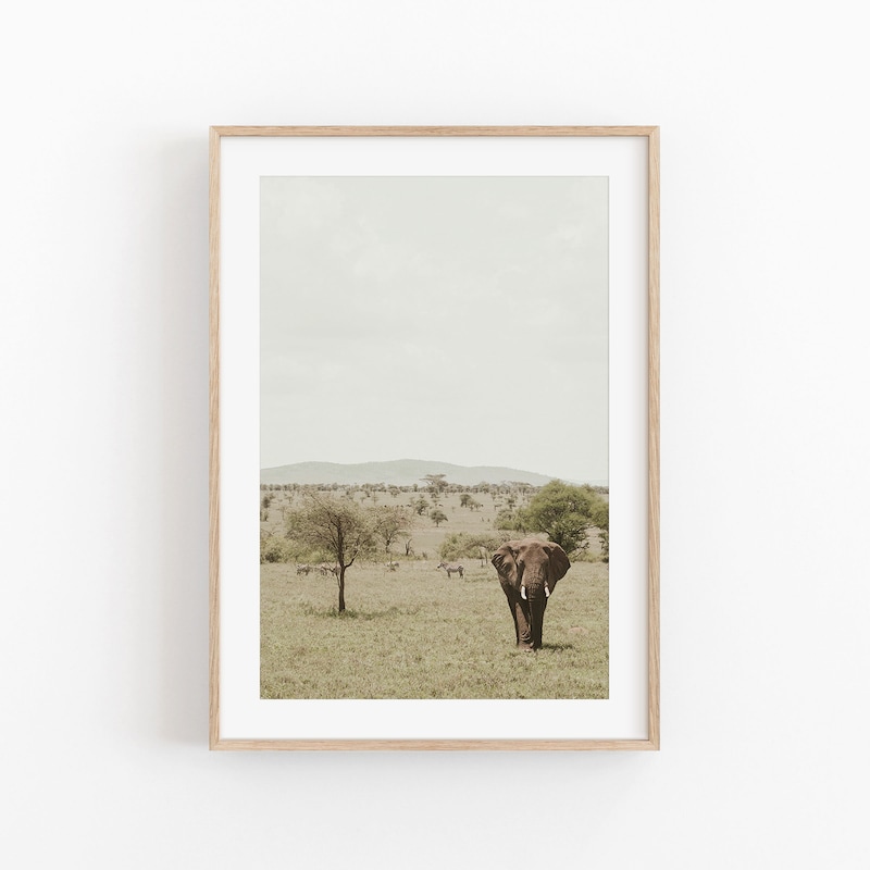 African Animal Print - Etsy