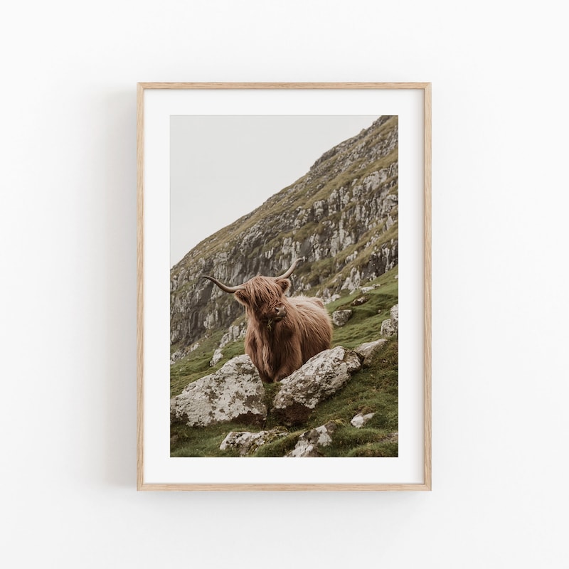 Highland Cow Wall Art - Etsy