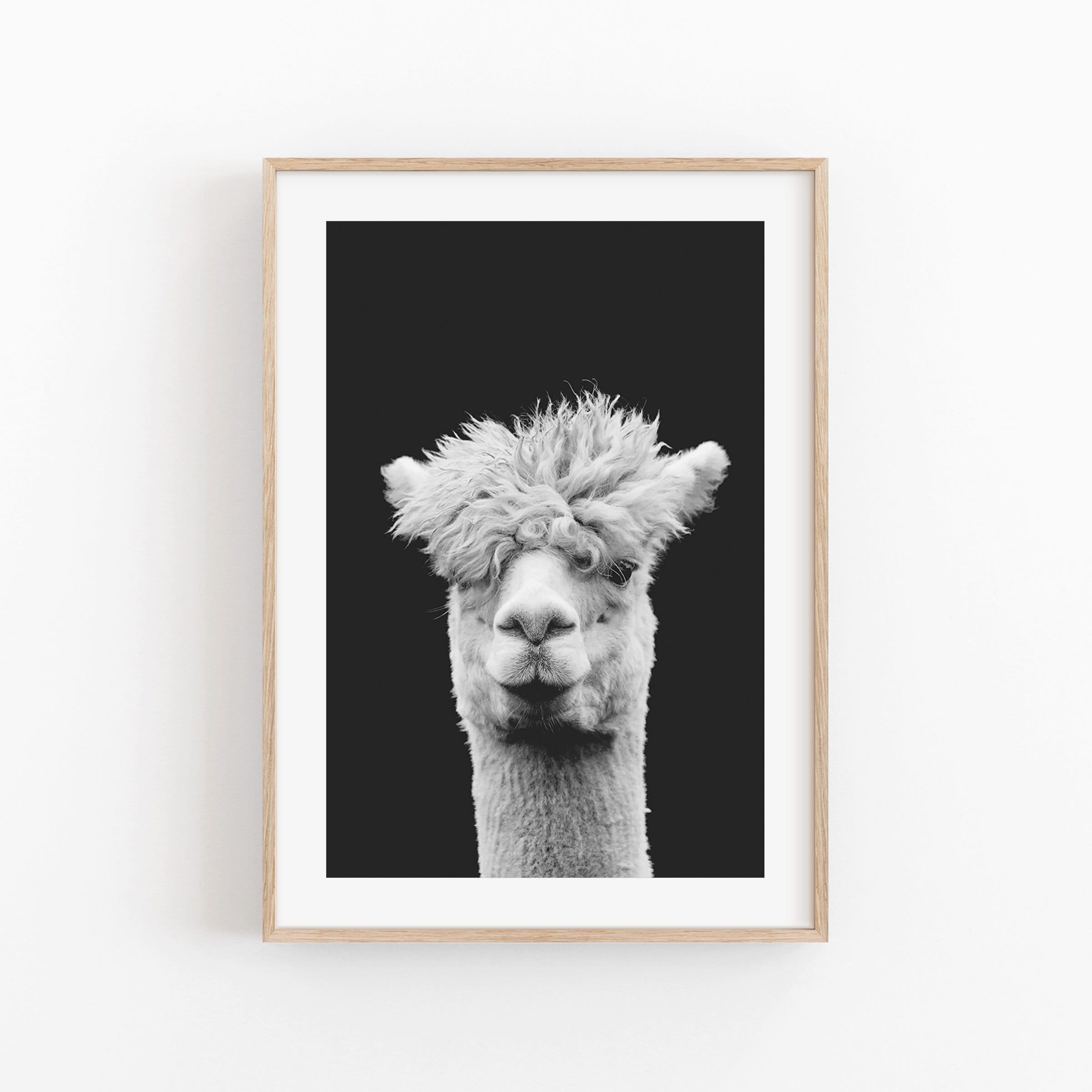 Llama Print Animal Print Instant Art INSTANT DOWNLOAD - Etsy