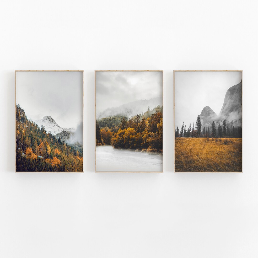 Nature Prints, Gallery Set of 3, Forest Photography Set, Nature ...