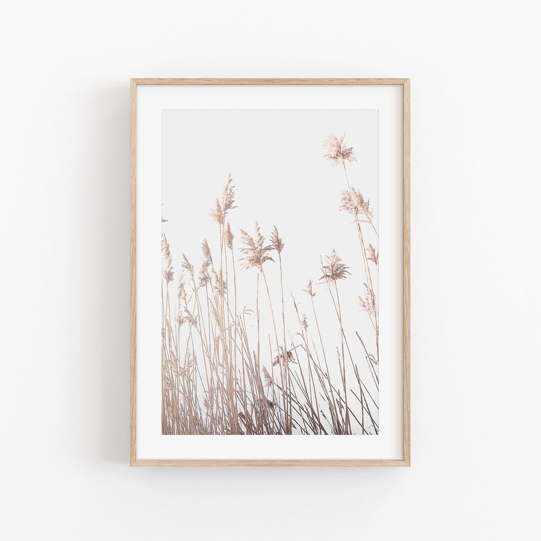 Pampas Grass Print, Instant Art, INSTANT DOWNLOAD, Modern Minimalist ...