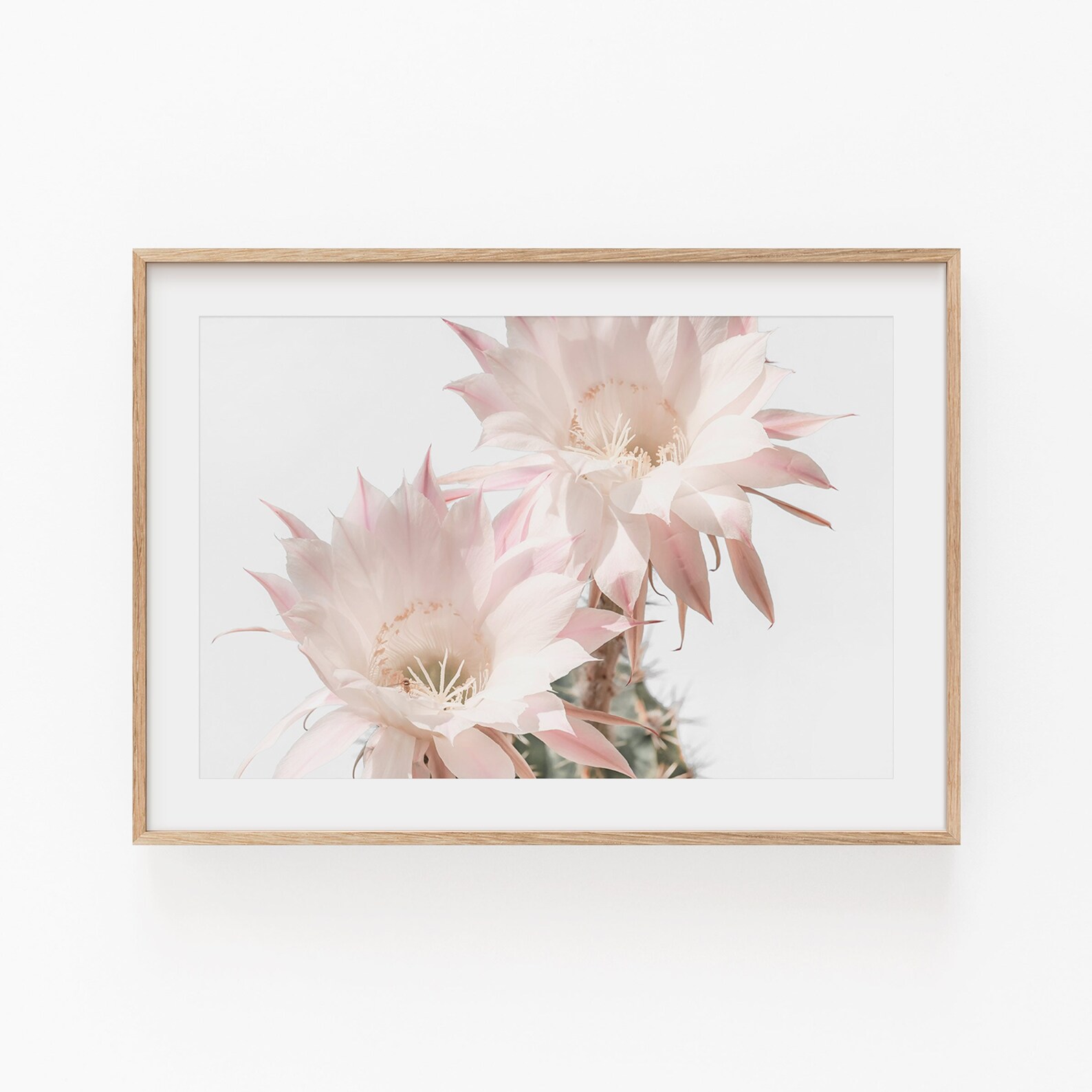 Cactus Flower Print Flowers Wall Art Instant Art Horizontal - Etsy