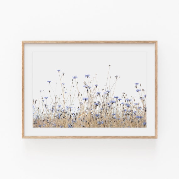 Botanicalart Print Wild Grass Art Print Modern Minimalist - Etsy