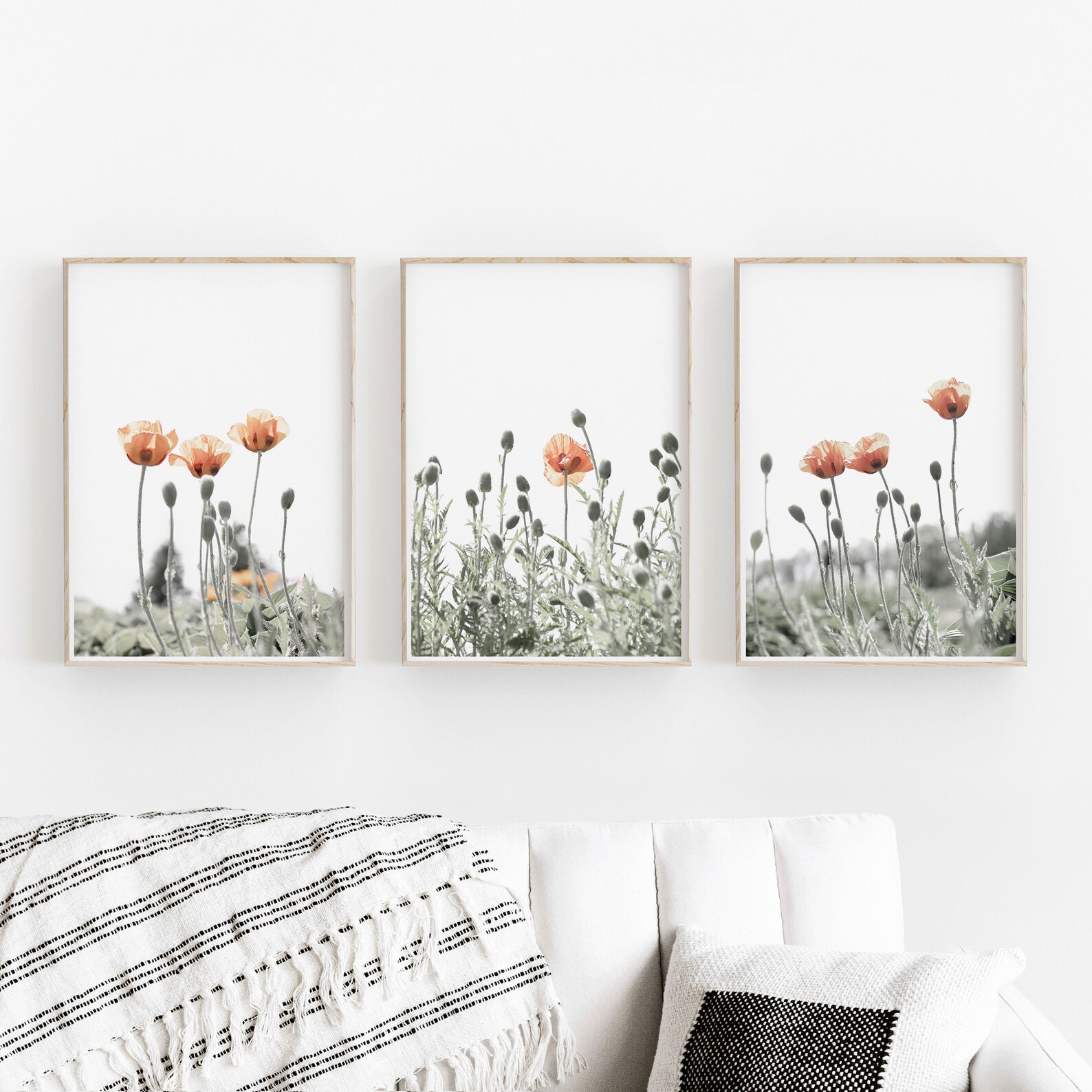 Poppy Print Set of 3 Botanical Wall Art Flowers Art Print - Etsy