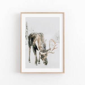 Winter Print Set of 6, Nordic Wall Art, Reindeer Forest Print ...