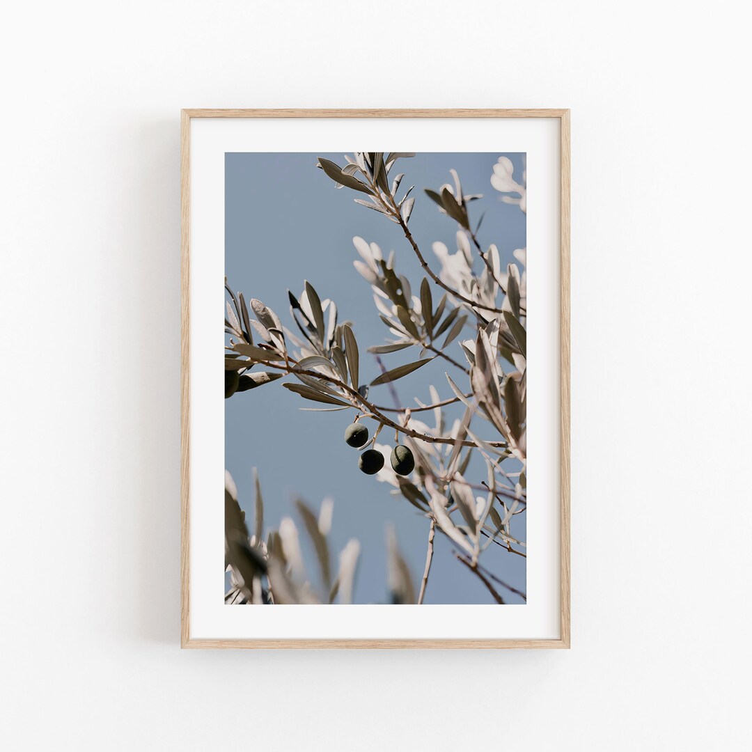 Olive Tree Print, Botanical Print, Instant Art, Olive Leave, Botanical ...