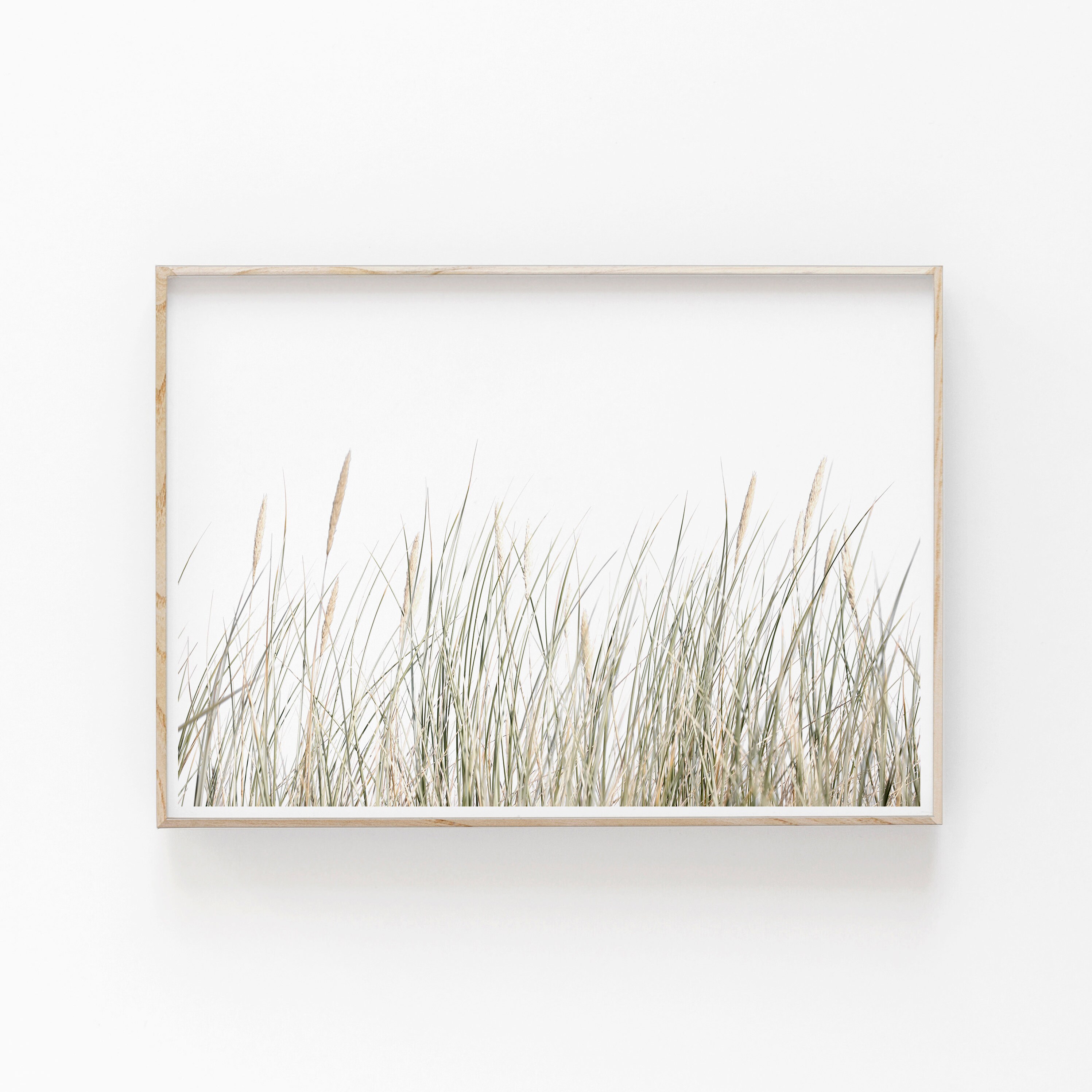 Farmhouse Art Print Pampas Grass Print Home Decor Grass - Etsy