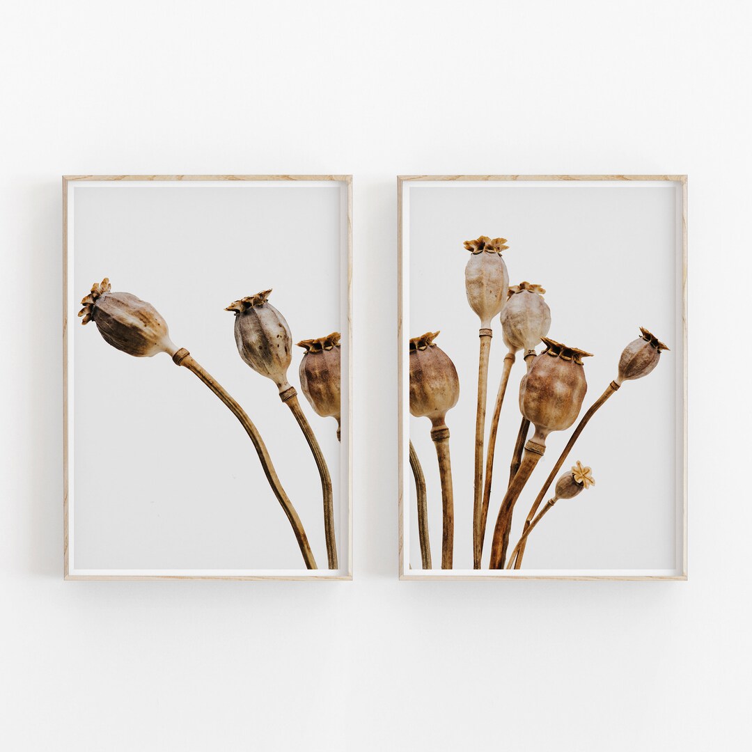 Poppy Print Set of 2, Instant Art, INSTANT DOWNLOAD, Modern Minimalist ...