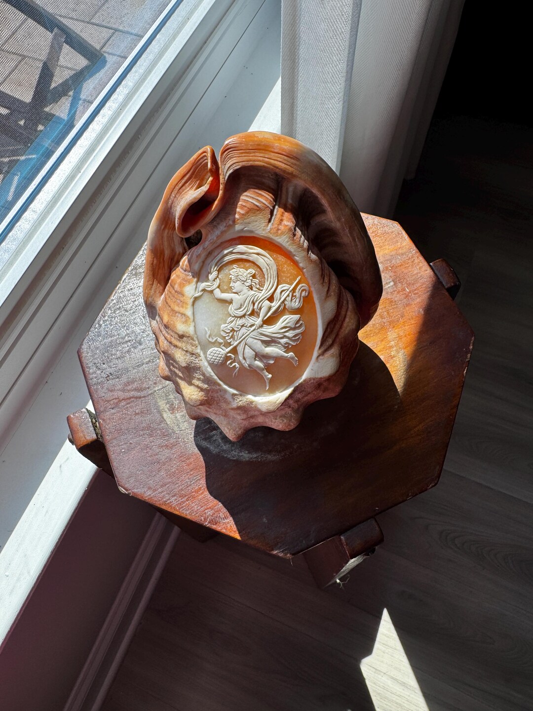 Vintage Engraved Conch Shell | Coastal Boho Decor | Ocean Goddess ...