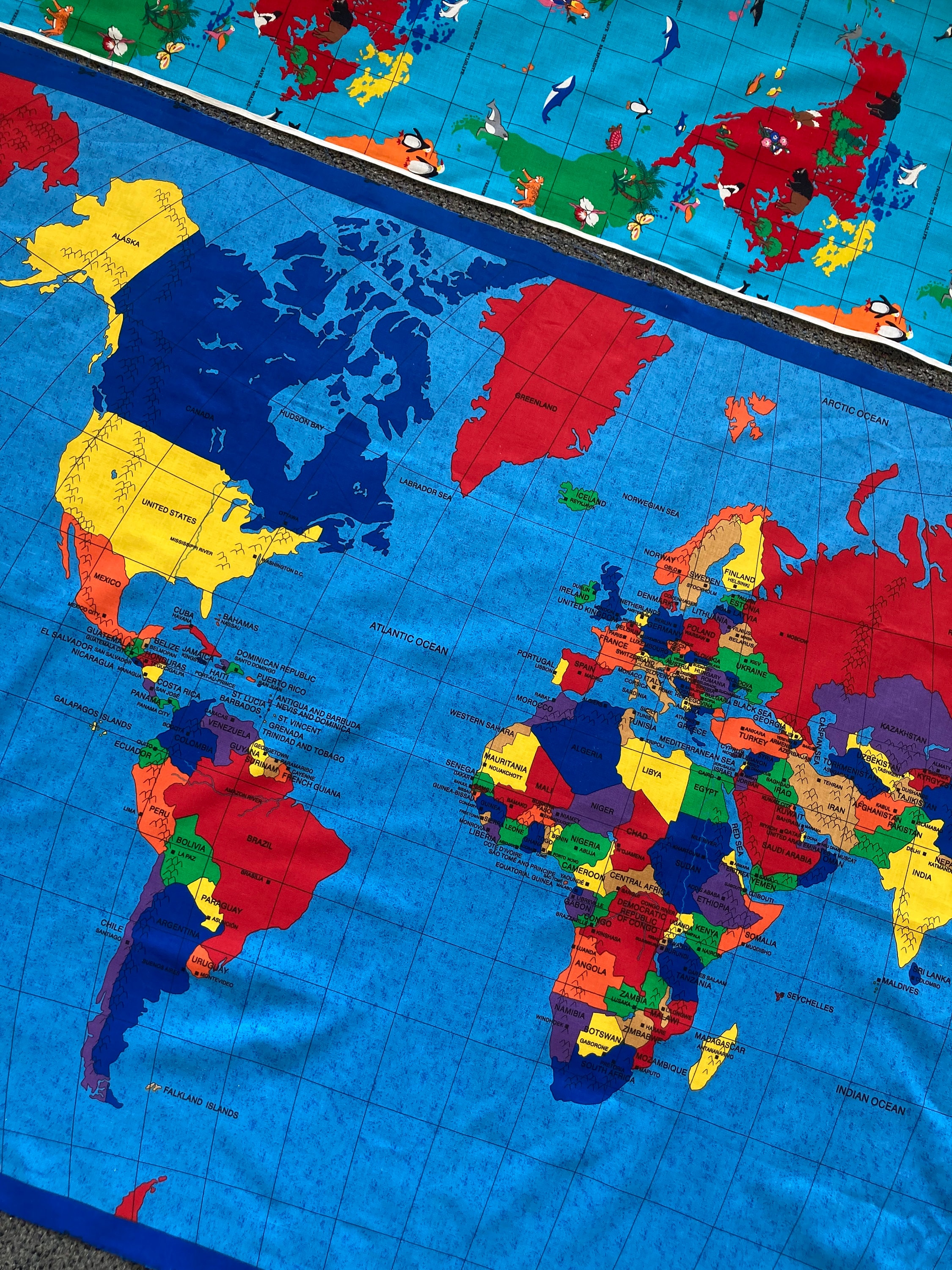 Map of the World Fabric Panel and Love the Earth Backing Quilt Set NEW ...