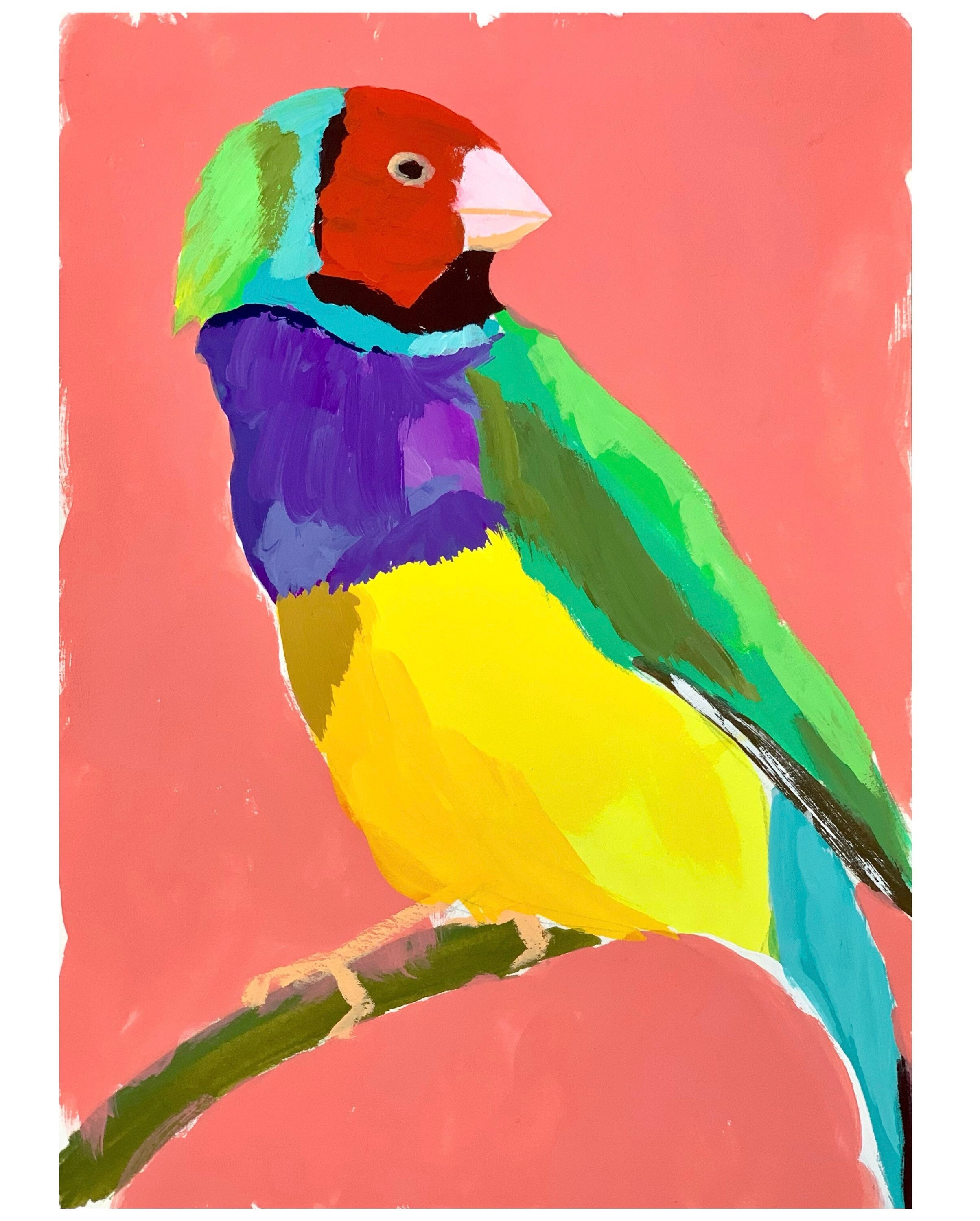 Rainbow Finch / Original Animal Art on Paper Bird Painting - Etsy