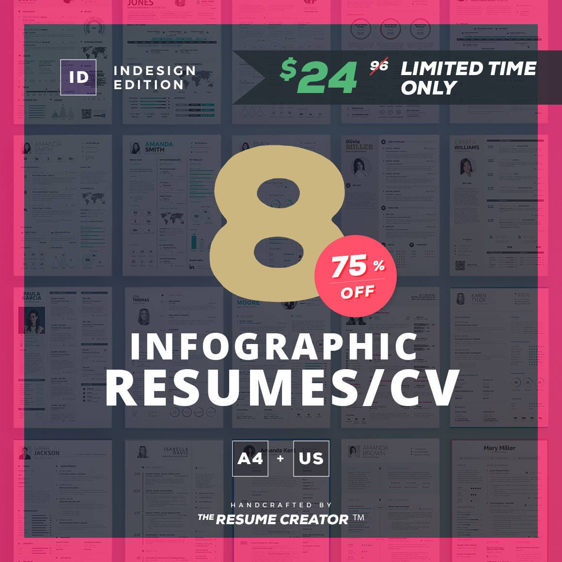 Infographic Resume Indesign