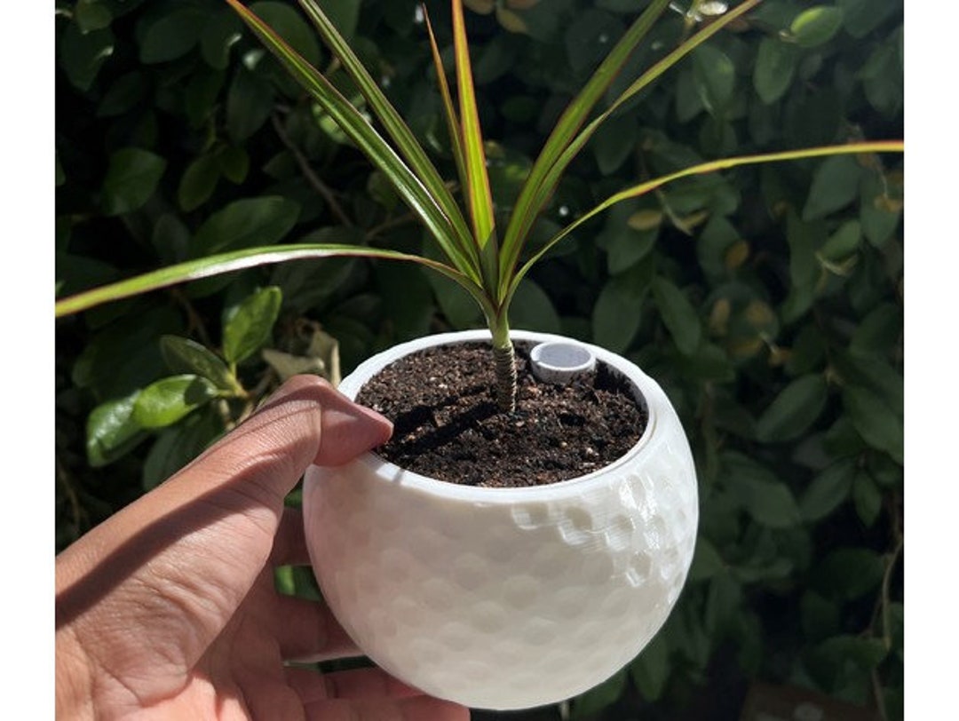 Golf Ball Planter Plant Pot - Etsy