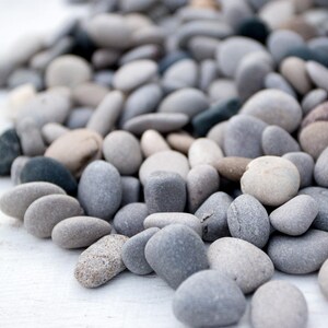 Mini Beach Pebbles 200 Bulk Stones Nature Crafts Rock - Etsy Canada