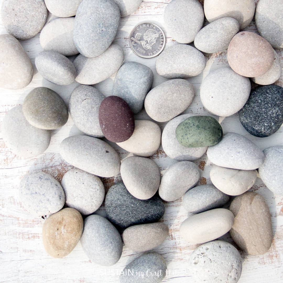 Small/medium Beach Stones (100), Bulk Stones, Nature Crafts, Rock Craft ...