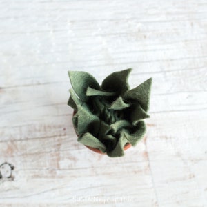 Succulent PATTERN Cutting Template; 5 No-sew Felt or Paper Succulents ...