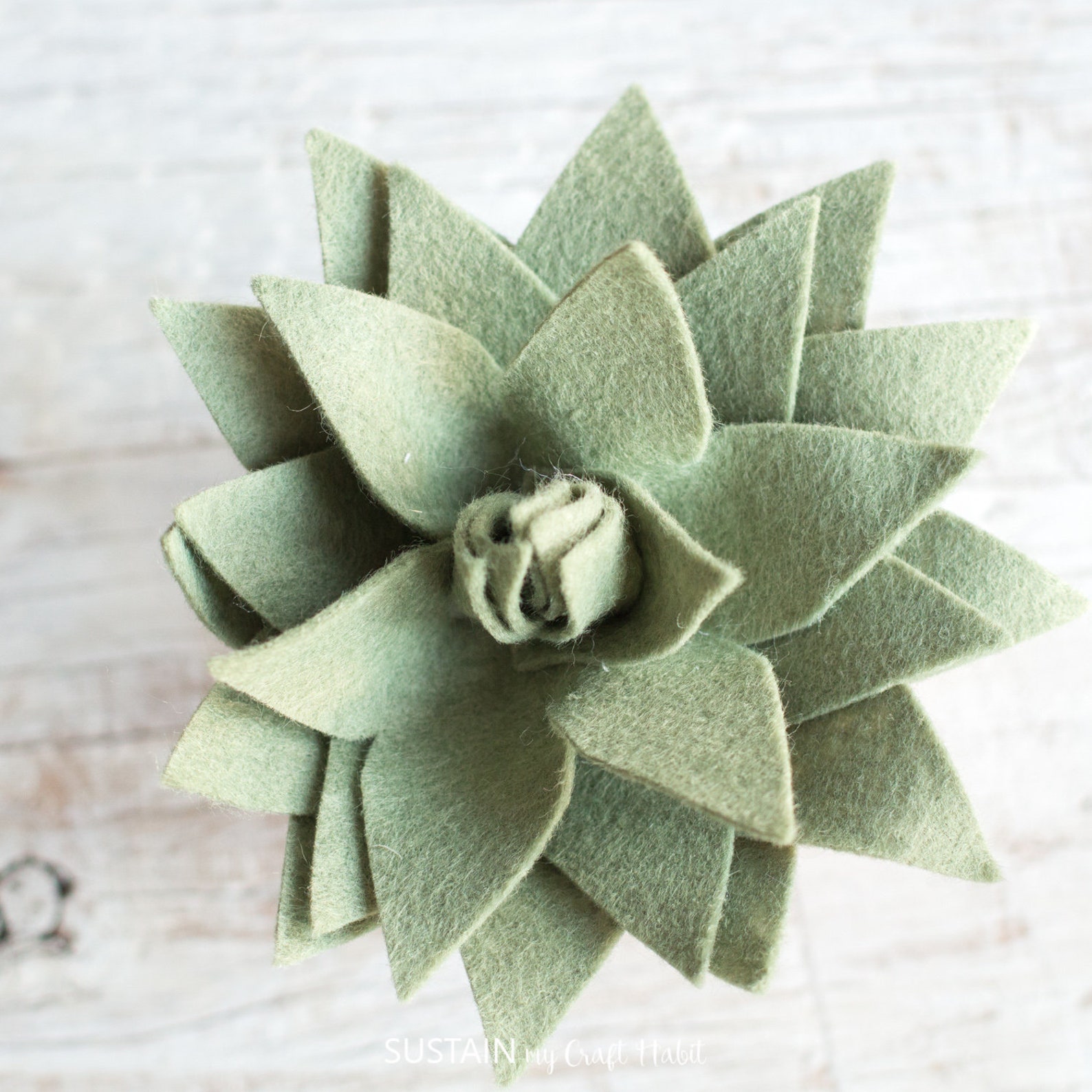 Succulent PATTERN Cutting Template; 5 No-sew Felt or Paper Succulents ...