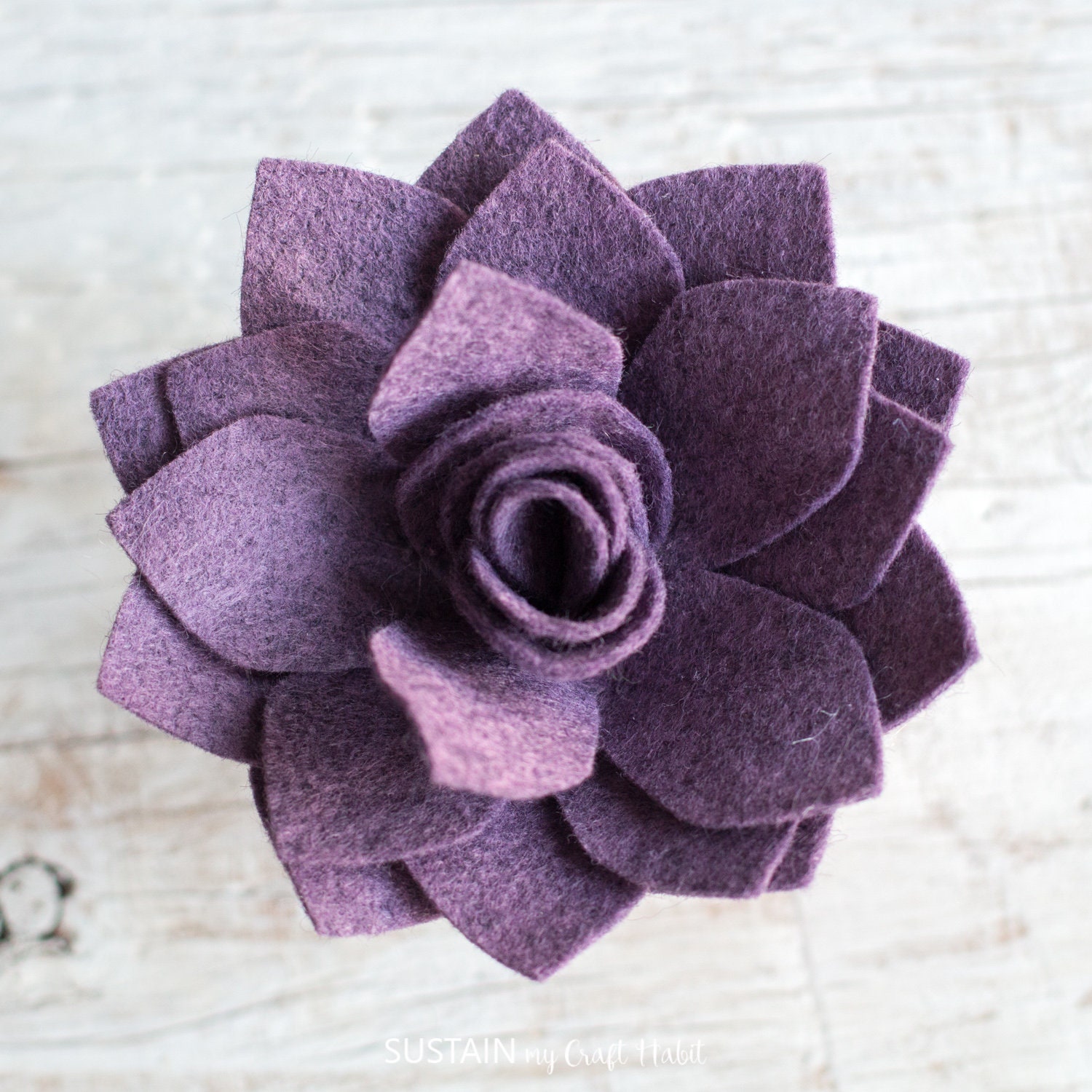 Succulent PATTERN Cutting Template 5 No-sew Felt or Paper | Etsy